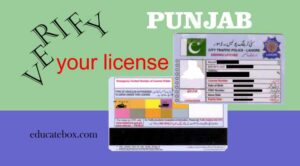 Punjab Driving Licence Verification - Check Online status in Pakistan